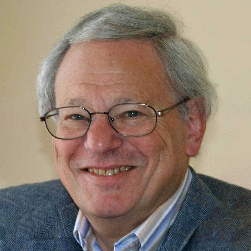 Steve Stein | AIER